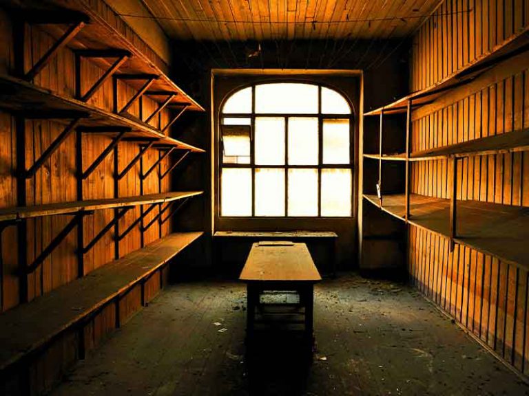 Maximizing Space: Attic Storage Ideas for Every Home | The Storage Space