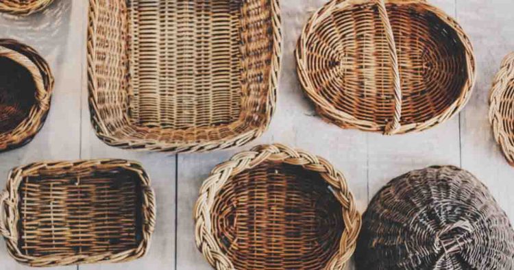 Dog-Friendly Spaces: Tips and Ideas | The Storage Space