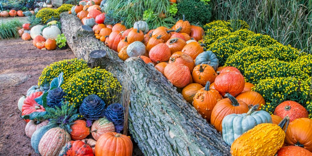 10 Easy & DIY Fall Décor Ideas for Your Home | CubeSmart