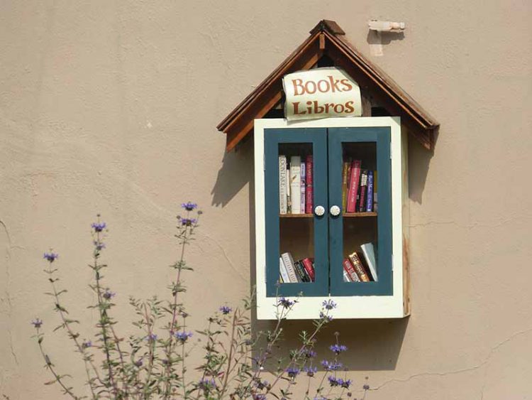 Build a Lending Library for Your Neighborhood | The Storage Space