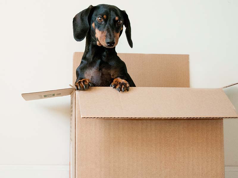 16 Crafty Ways To Repurpose Cardboard Boxes After Moving The Storage