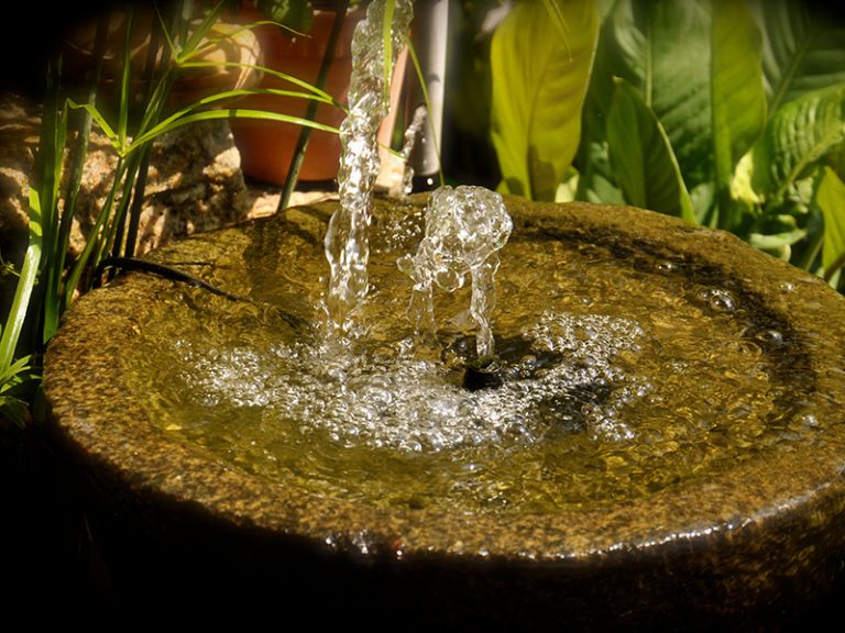 6 Ways to Embrace a Biophilic Home and Step into Nature Anytime | The ...