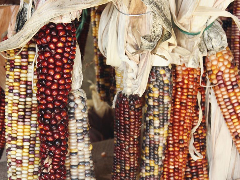 Outdoor Fall Décor: Update your Porch for the Holidays | The Storage Space