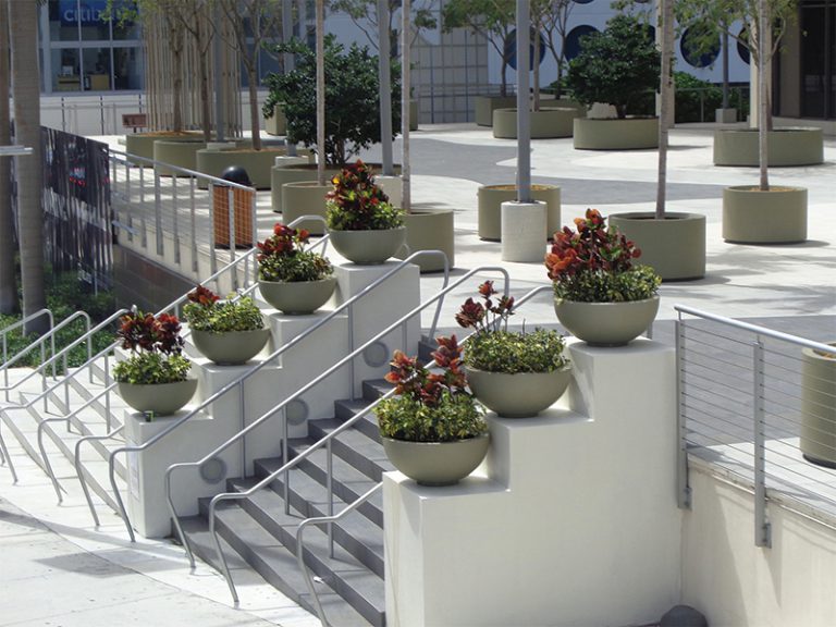 The 9 Best Neighborhoods to Live in South Miami | CubeSmart