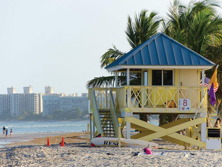 The 9 Best Neighborhoods to Live in South Miami | CubeSmart