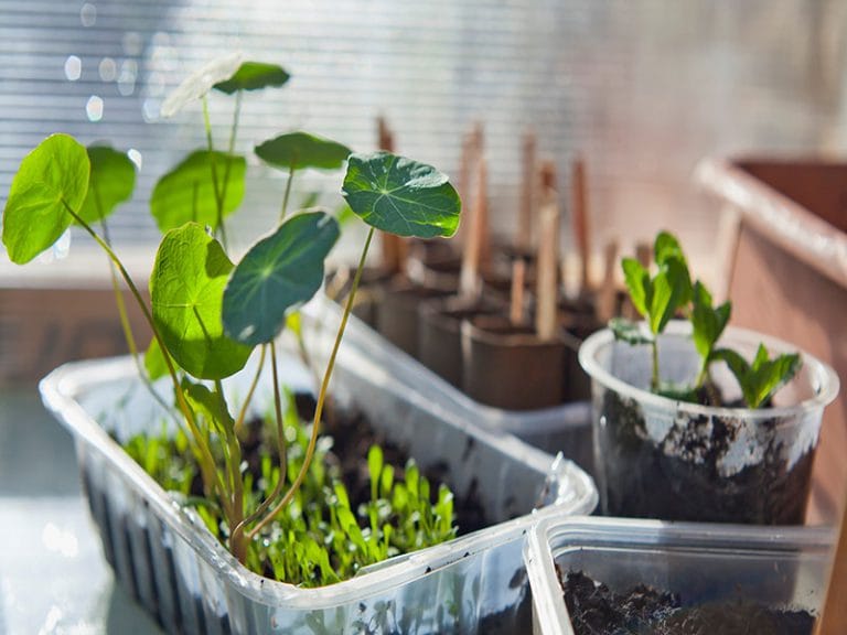 20 Fun Ideas for Repurposing Containers | The Storage Space