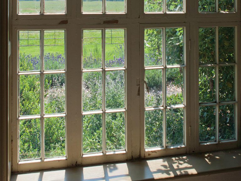 Why the 6 Wards of Houston Are Worth the Move | CubeSmart